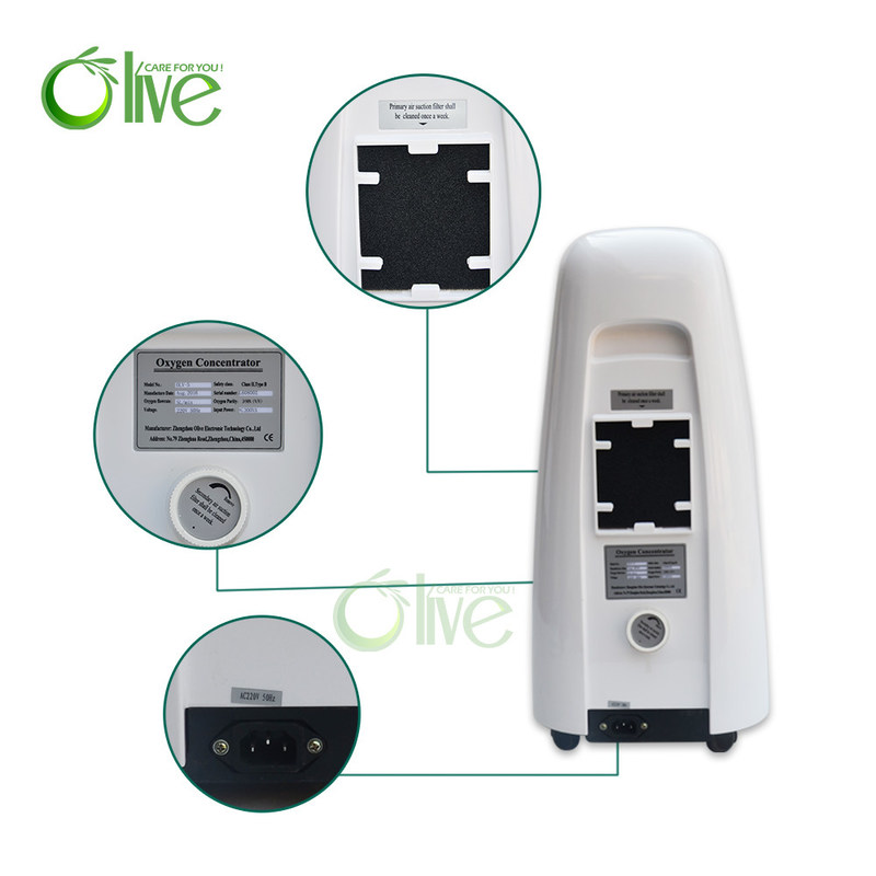 Constant Flow Portable Oxygen Concentrator , Mini Psa Oxygen ...