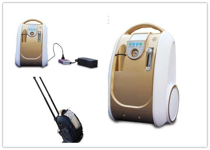 High Flow Portable 10 Liter Oxygen Concentrator Lightweight Low Power ...